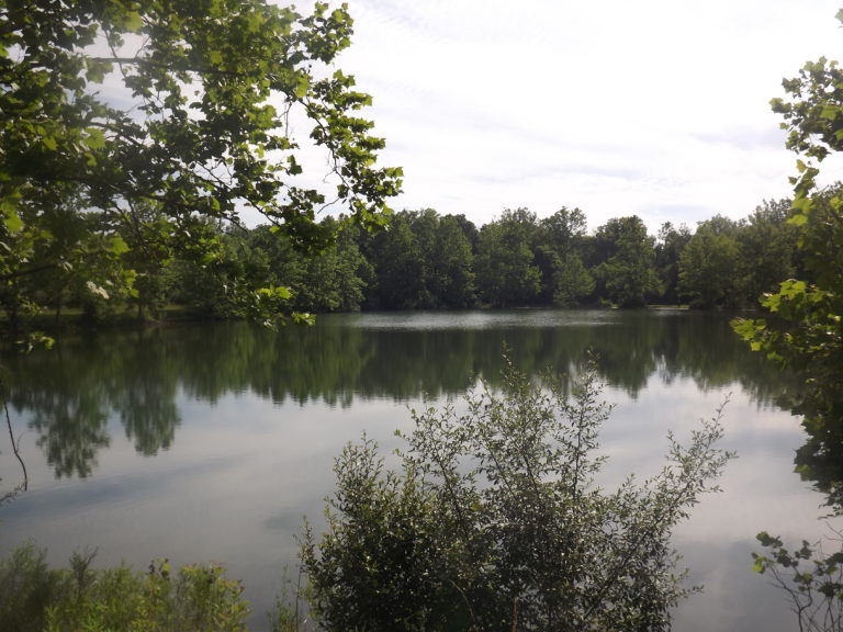 Sycamore State Park • OH Parks