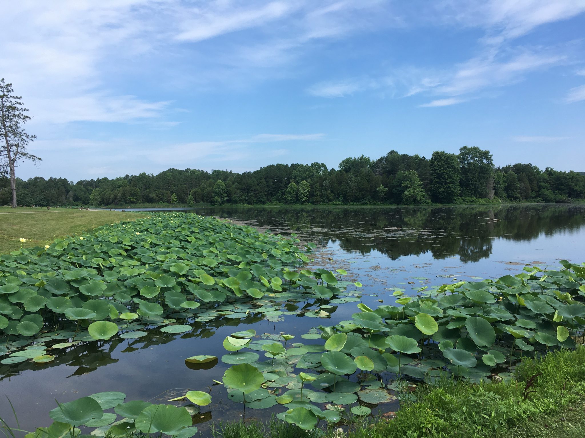 Adams Lake State Park • OH Parks